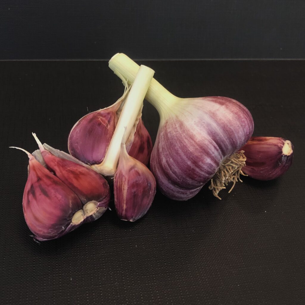 CNG Korean Purple - Fraser Garlic
